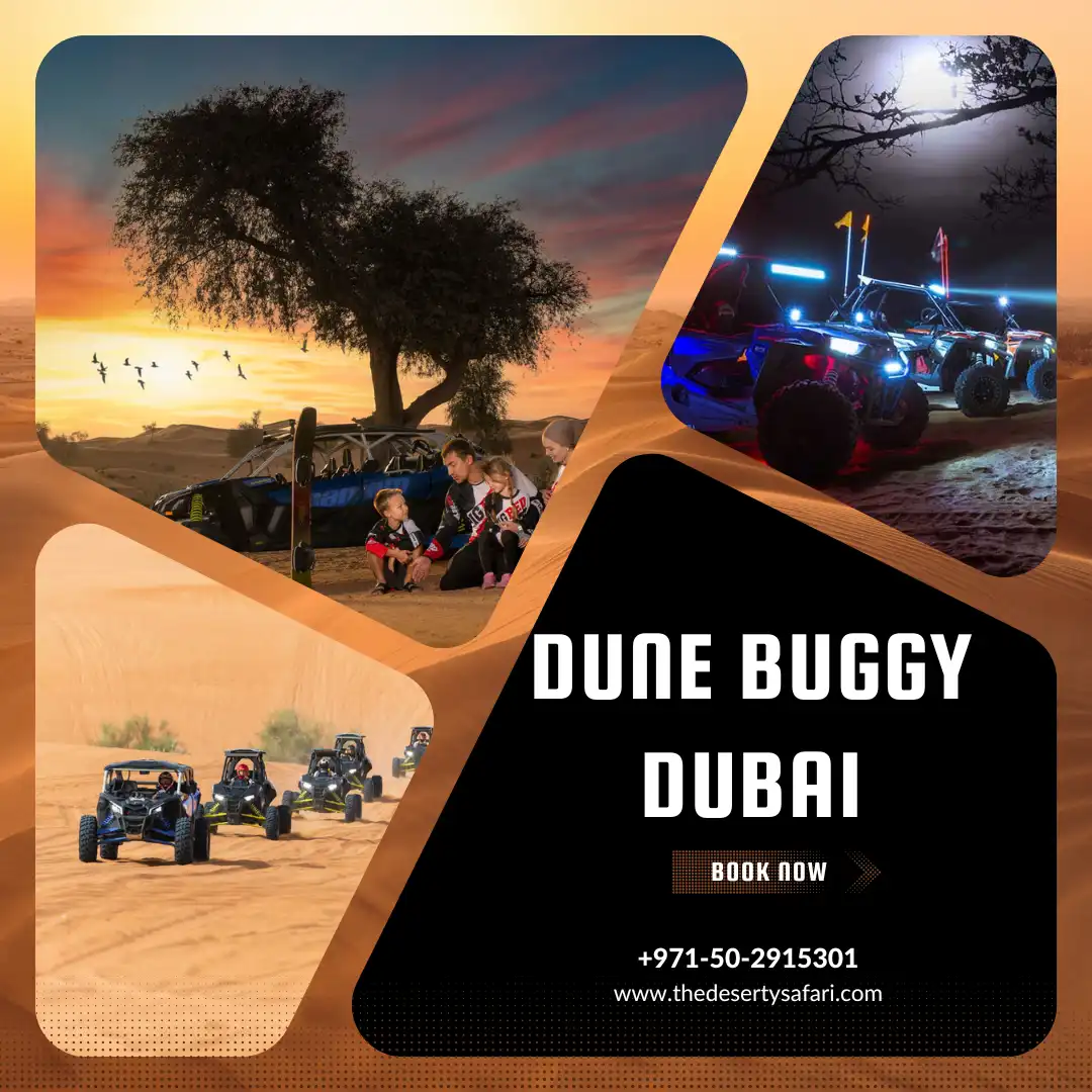 Dune Buggy Dubai With BBQ Dinner, Camel Ride & Dance Shows