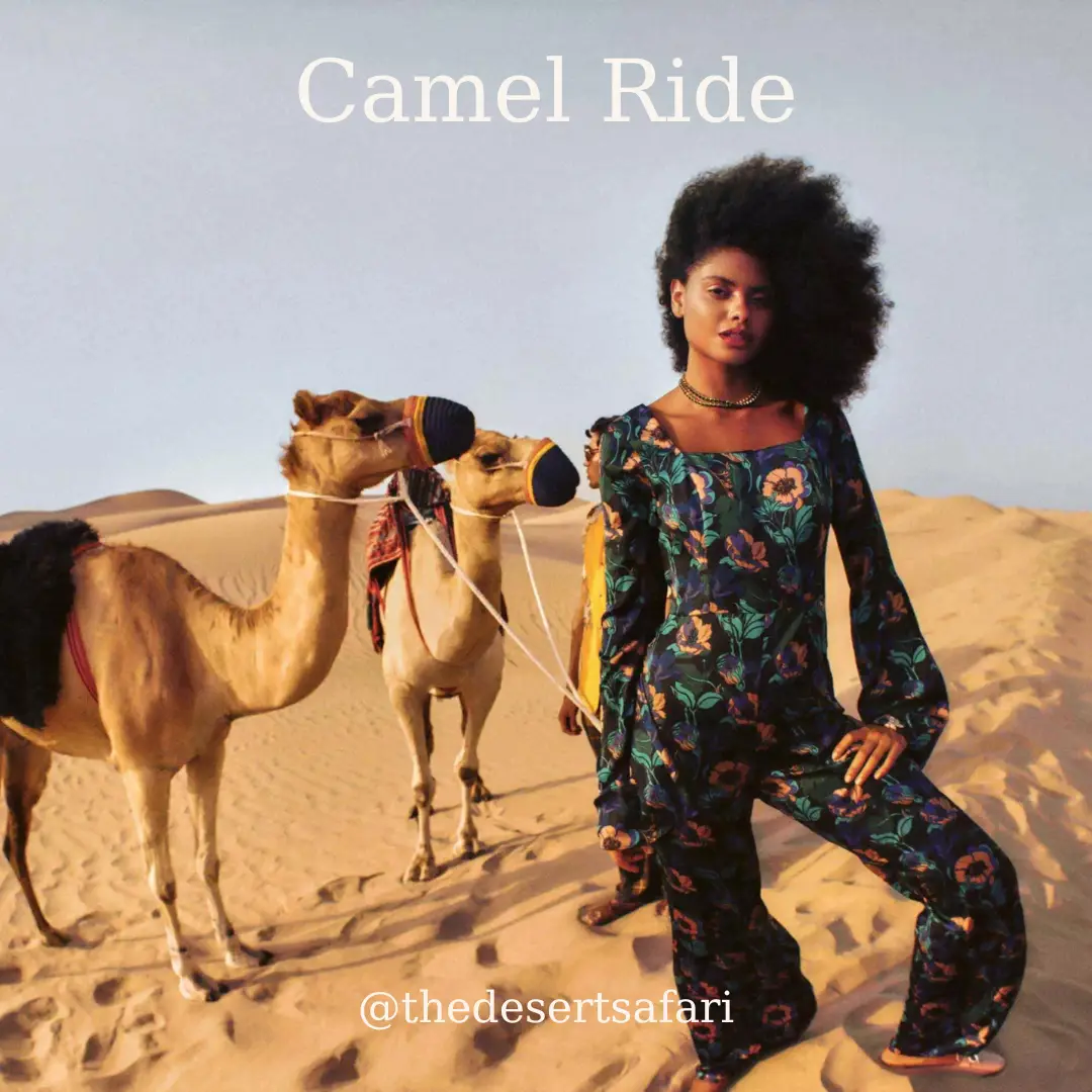 Camel Ride Abu Dhabi | Experience the Desert Magic